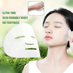 DTE Centella Repair Face Mask
